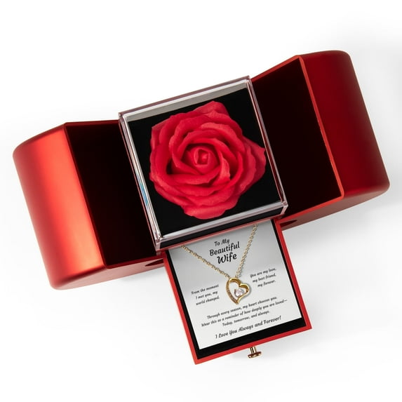 BrillanceAura Romantic Clear, Heartfelt Message Card Necklace ...