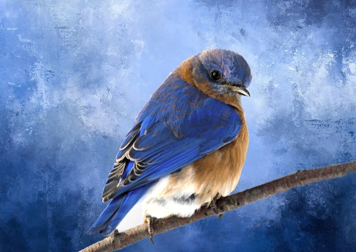 Brilliant Bluebird Quilt Panel - BRB-010 - Panel Size Is 24.75” X 16. ...