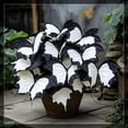 Brilliant Butterfly Hostas-Ornamental Gift-Beautiful Garden Home ...