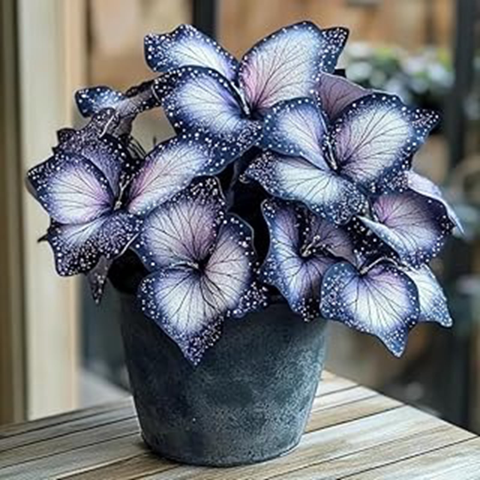 Brilliant Butterfly Hostas for Planting-Premium Ornamental Hostas-(Non ...