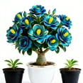 Brilliant Desert Rose-Horticulture-Professional-Plant Hangers-Quick ...