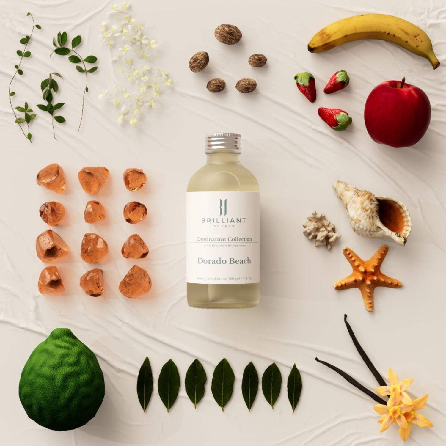 Brilliant Scents - Dorado Beach | Inspired by The Ritz Carlton | Luxury ...