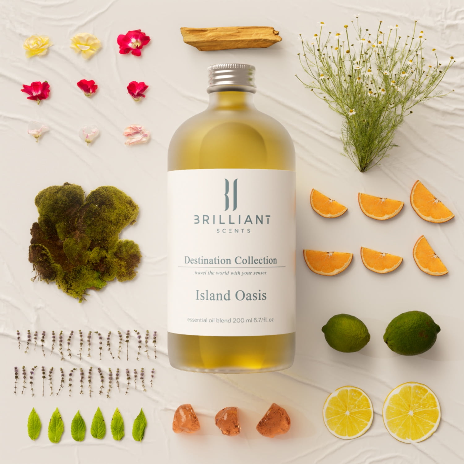 Brilliant Scents - Island Oasis | Inspired By: Wymara Resort Turks ...