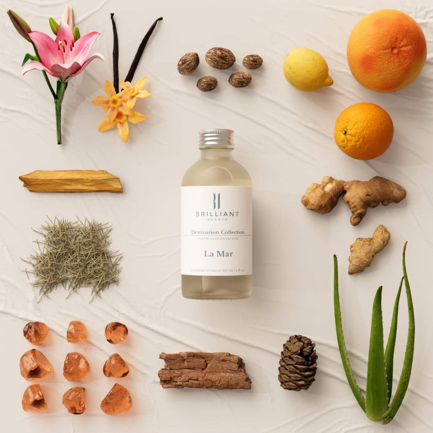 Brilliant Scents, La Mar Fragrance Oil, Aloe Vera, Ginger, White Tea ...