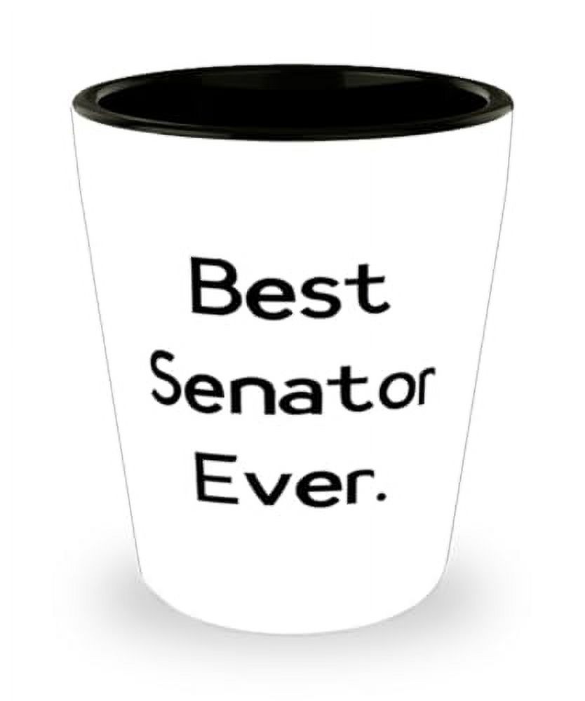 Brilliant Senator Gifts, Best Senator Ever, Unique Shot Glass For ...