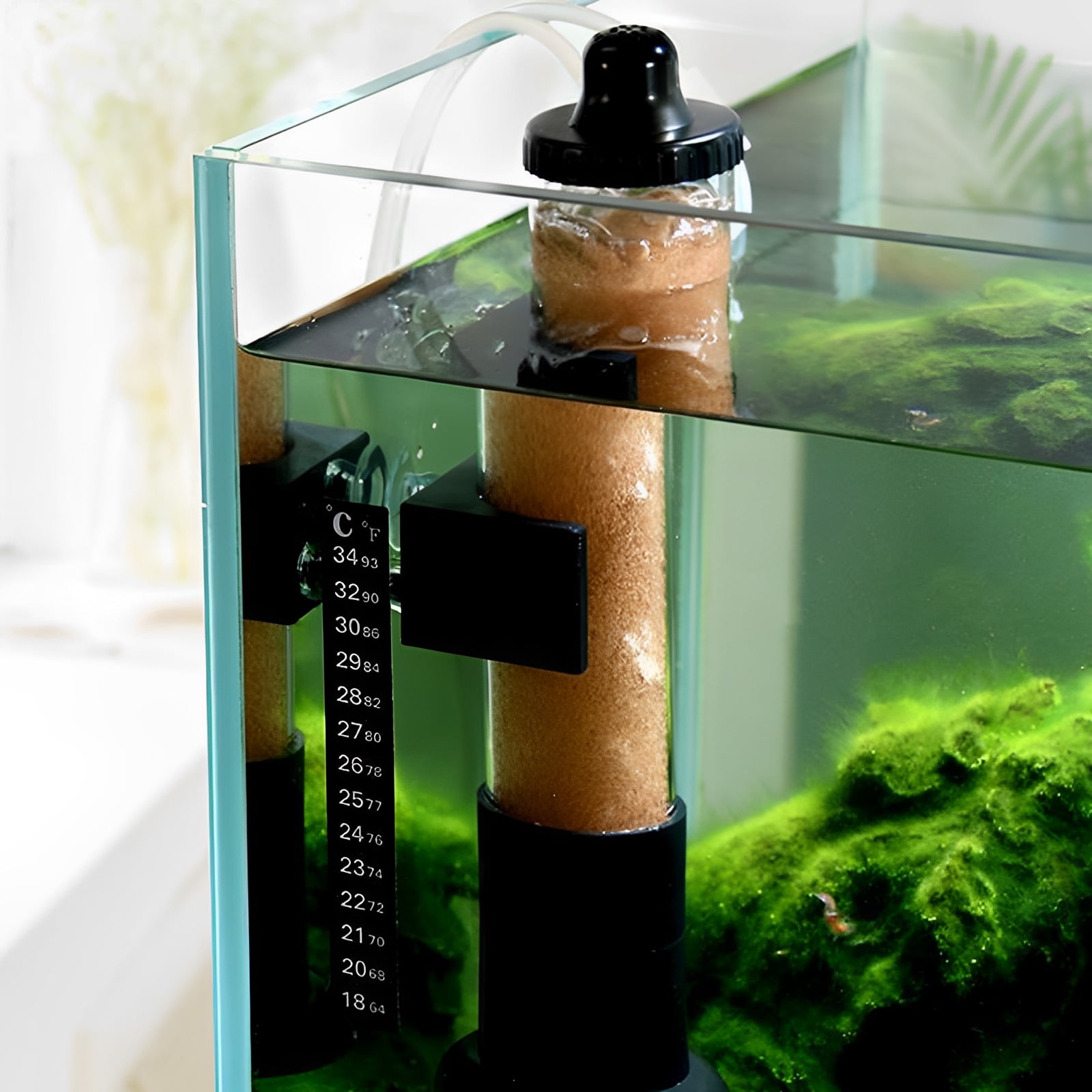 Brine Shrimp Hatchery Kits Safe Reusable Brine Shrimp Eggs Incubator ...