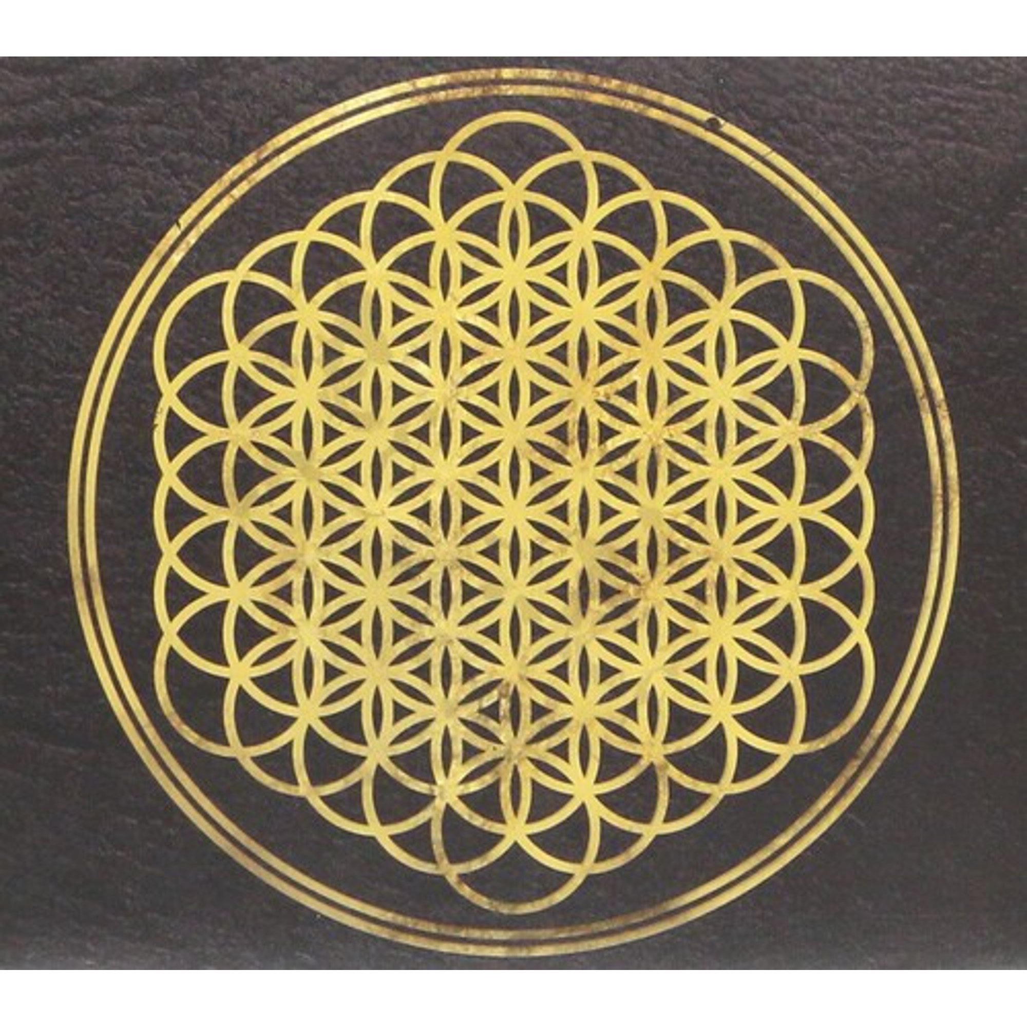 Bring Me The Horizon Sempiternal Cd