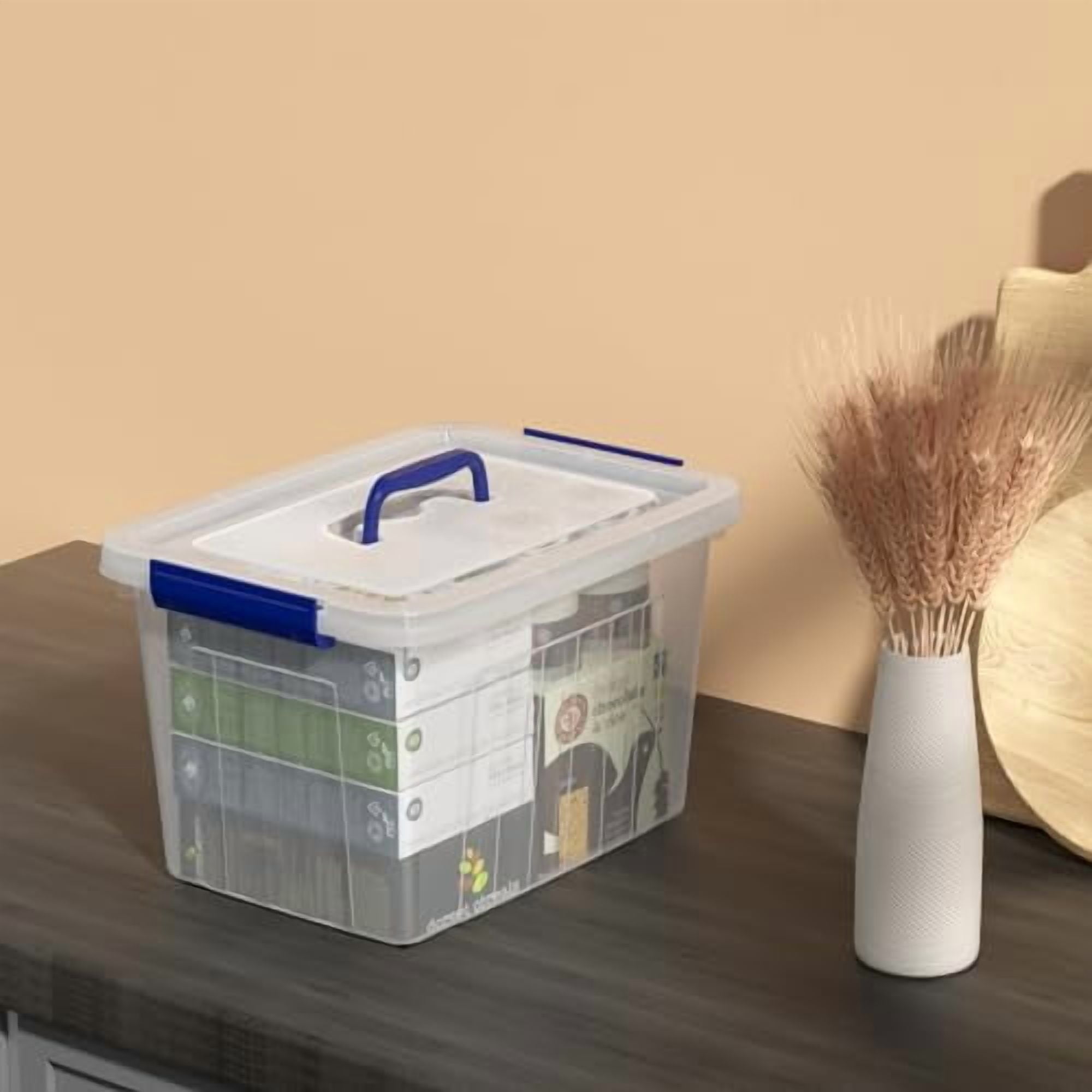 Bringer 6-Pack 10 L Plastic Storage Box, Clear Latch Storage Box ...