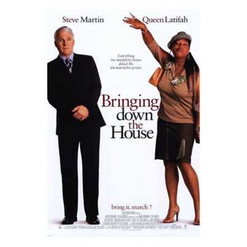 Bringing Down the House Movie Poster (11 x 17) - Item # MOV203495 ...
