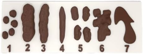 Bristol Stool Chart – Durable Toilet Wall Mount | Medical Bathroom ...