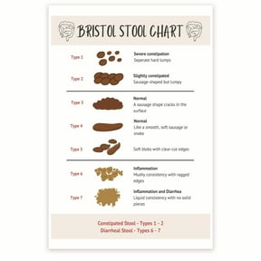 Poop Chart Bristol Stool Chart Poster Stool Chart (1)(1) Canvas ...