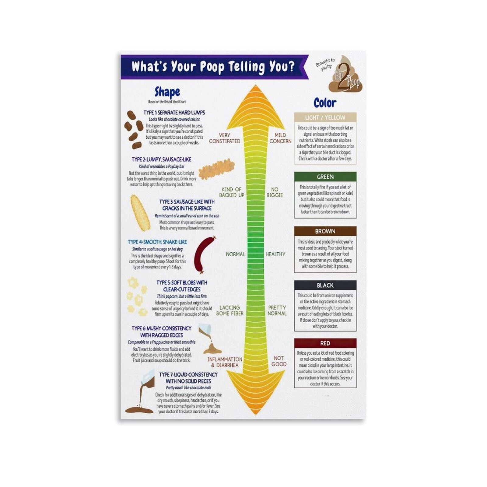 Bristol Stool Chart Poster Gastrointestinal Health Chart - Digestive ...
