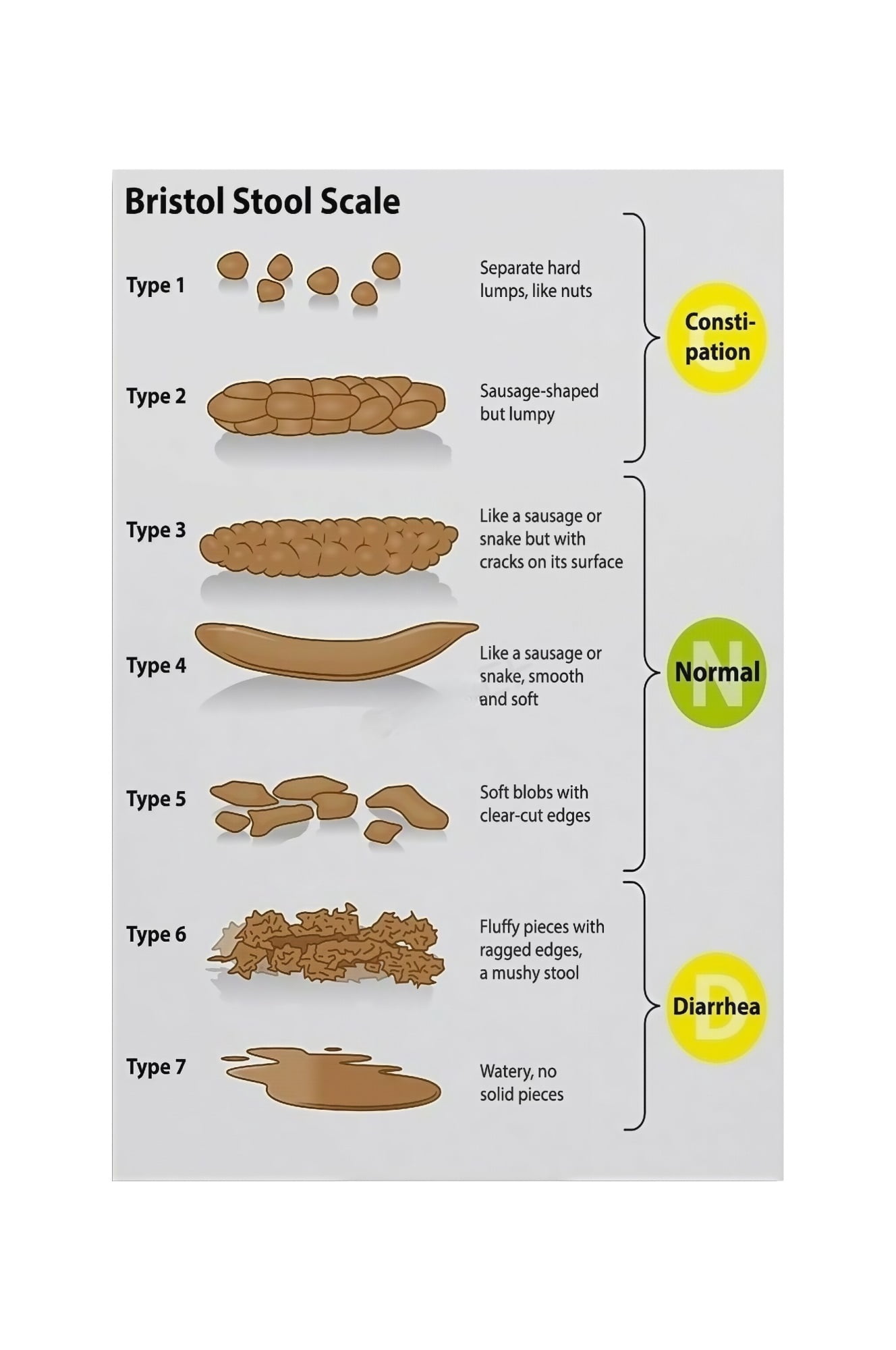 Bristol Stool Scale Poster Digestive Health Chart Educational Wall Art ...