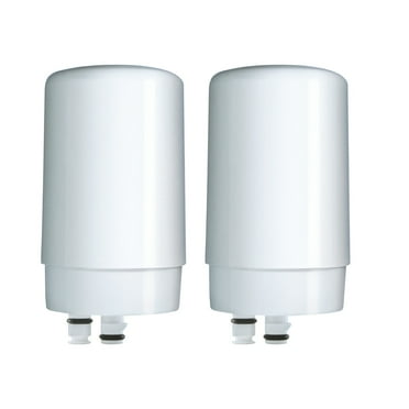 Everpure 9534-40 EC110 Cartridge - Walmart.com