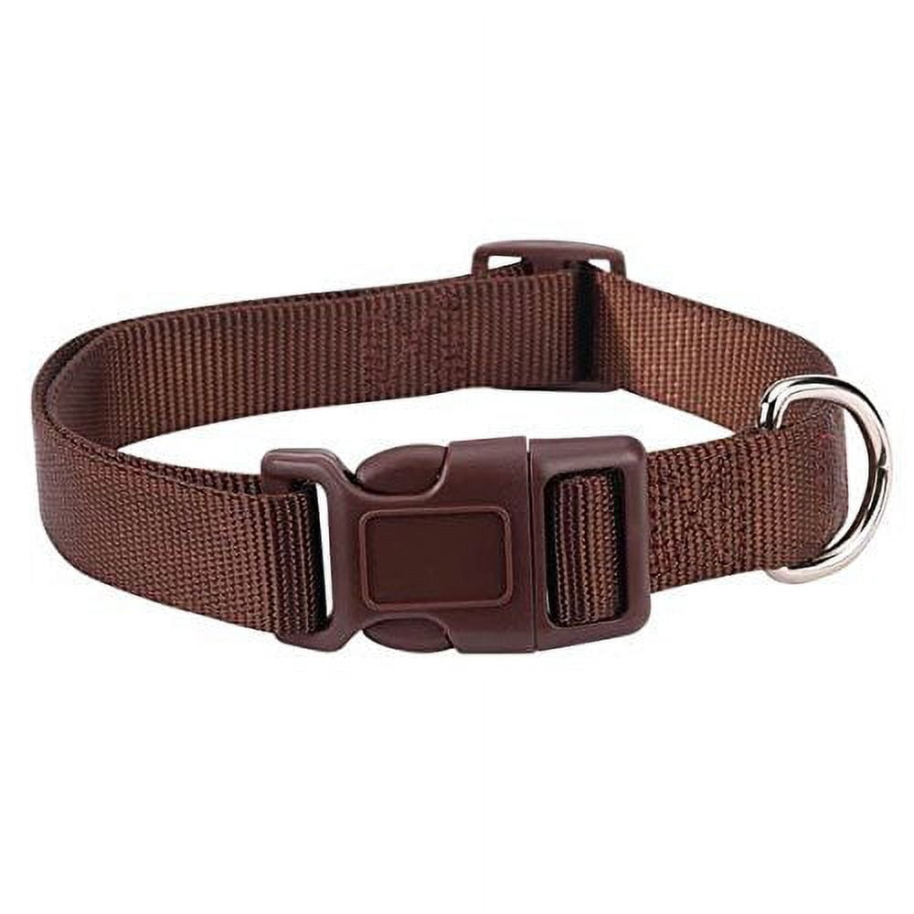 Brite Color Nylon Collars for Dogs - 11 Fun Colors 4 Sizes Bright Dog ...