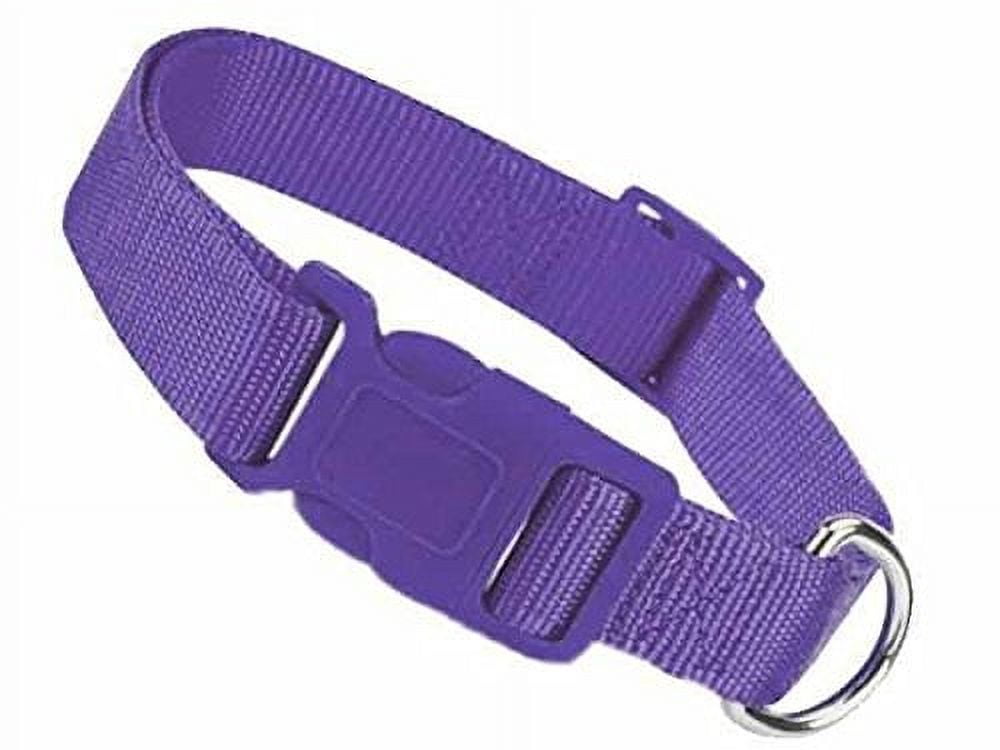 Brite Color Nylon Collars for Dogs - 11 Fun Colors 4 Sizes Bright Dog ...