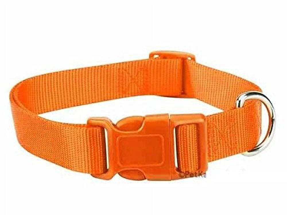 Brite Color Nylon Collars for Dogs - 11 Fun Colors 4 Sizes Bright Dog ...