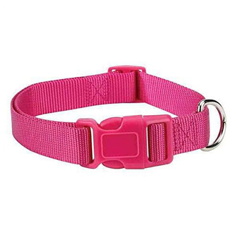 Brite Color Nylon Collars for Dogs - 11 Fun Colors 4 Sizes Bright Dog ...