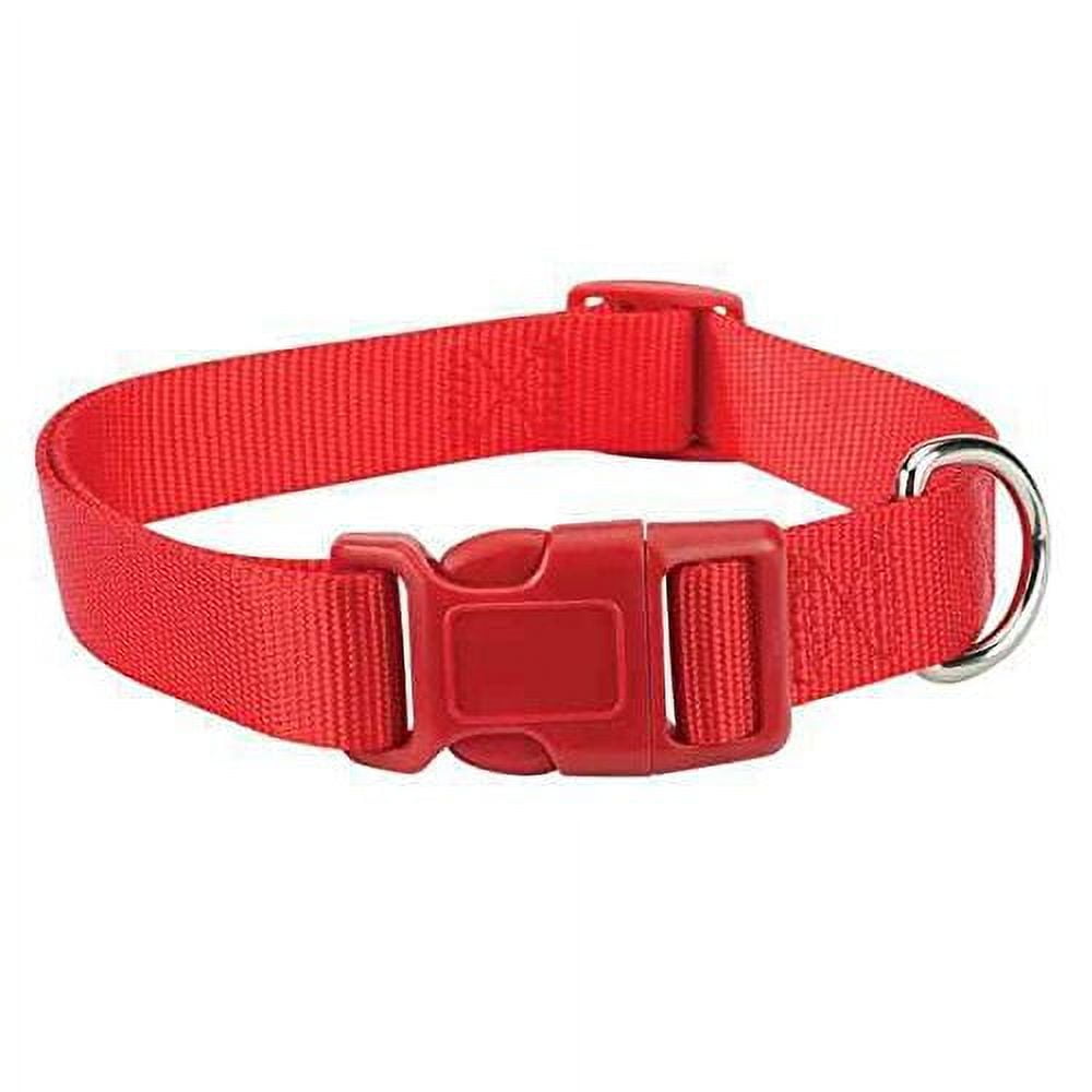 Brite Color Nylon Collars for Dogs - 11 Fun Colors 4 Sizes Bright Dog ...