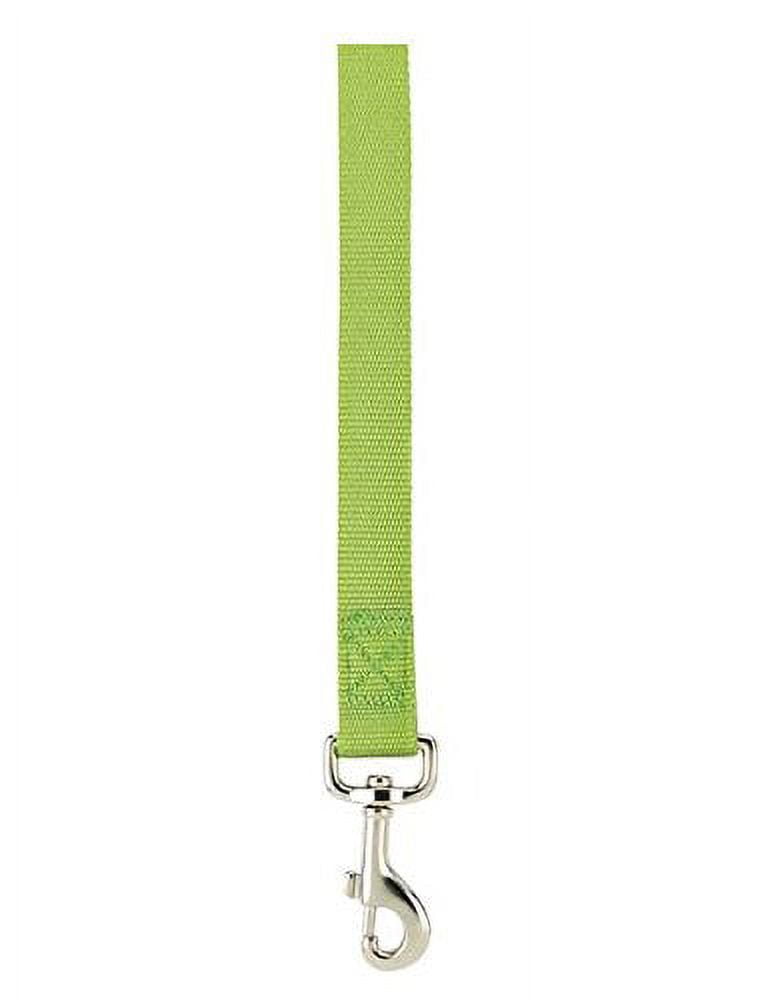 Brite Color Nylon Leads for Dogs Choose From 11 Colors 3 Sizes Dog ...