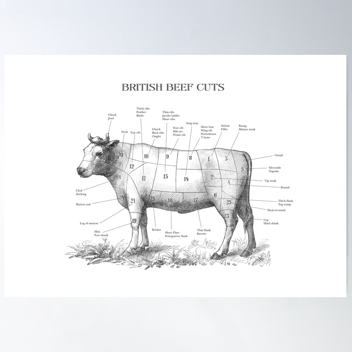 British Beef Butchers Chart Poster Wall Art, Modern Wall Decor For ...