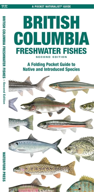 British Columbia Fishes: A Folding Pocket Guide to All Known Native and ...