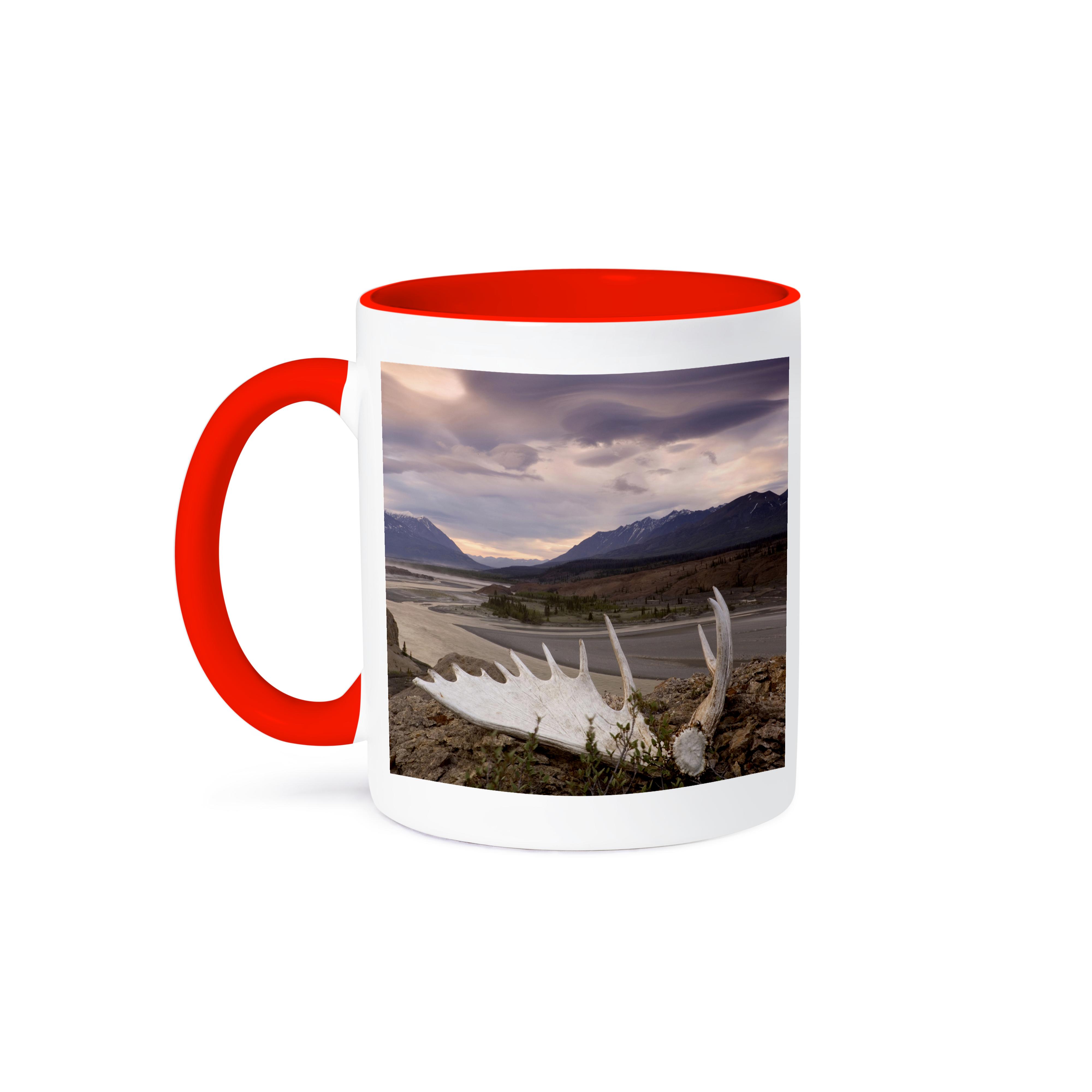 British Columbia, Yukon, Moose Antler Wildlife-Cn12 Bja0002 - Janyes ...
