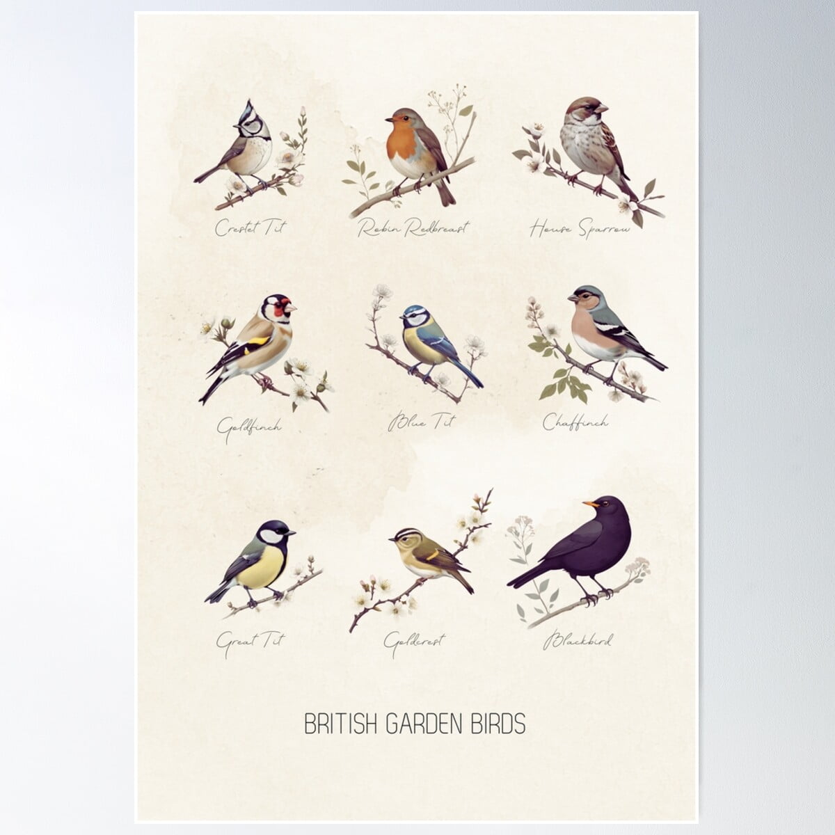 British Garden Birds, Uk Birds, Bird Breeds, Birds Of Europe, Farmhouse ...