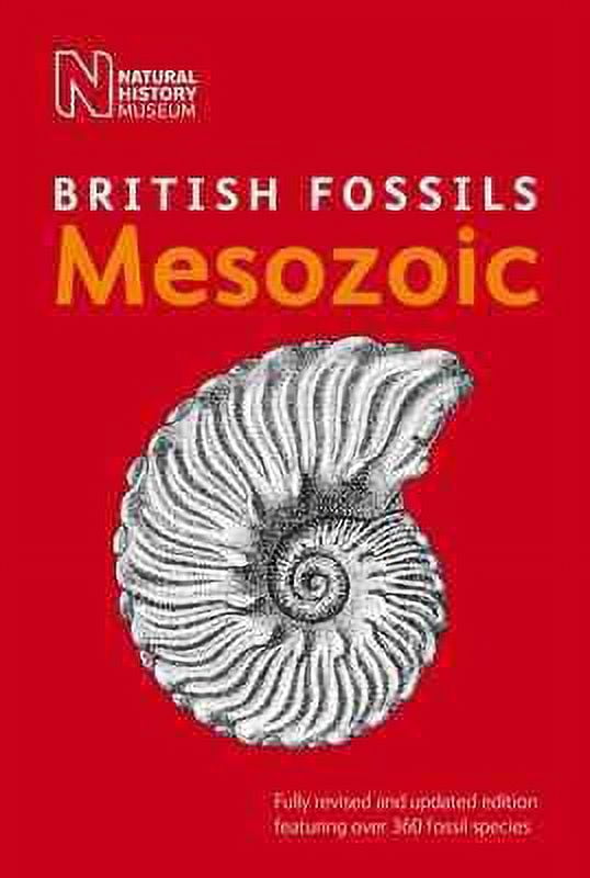 British Mesozoic Fossils - Walmart.com