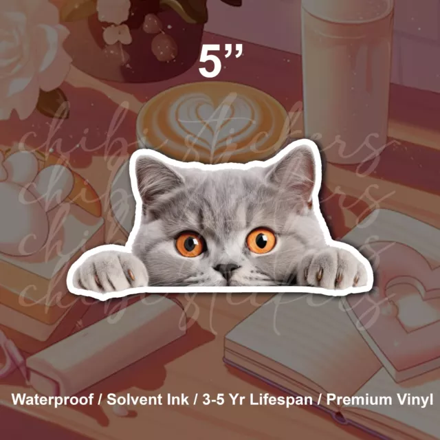 British Short Hair Grey Cat Kitty Peeking Sticker Vinyl Waterproof ...
