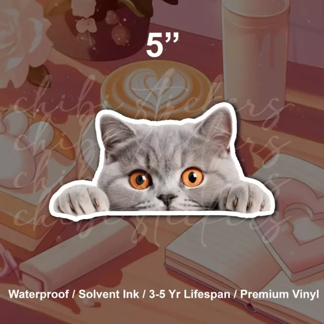 British Short Hair Grey Cat Kitty Peeking Sticker Vinyl Waterproof ...