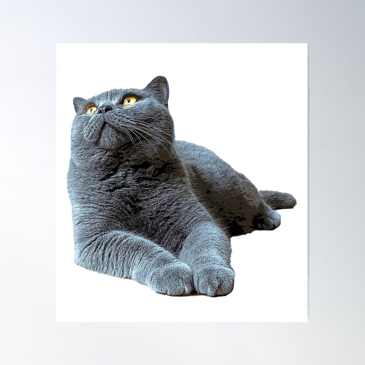 British Shorthair Cat - Blue With Orange Eyes Poster Wall Art Modern ...