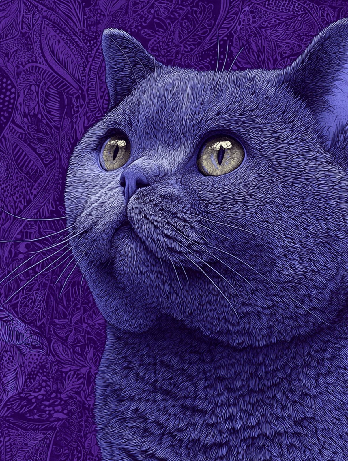 British Shorthair Cat Canvas Print, Pet Portrait Wall Art for Living ...