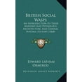 British Social Wasps : An Introduction To Their Anatomy And Physiology ...
