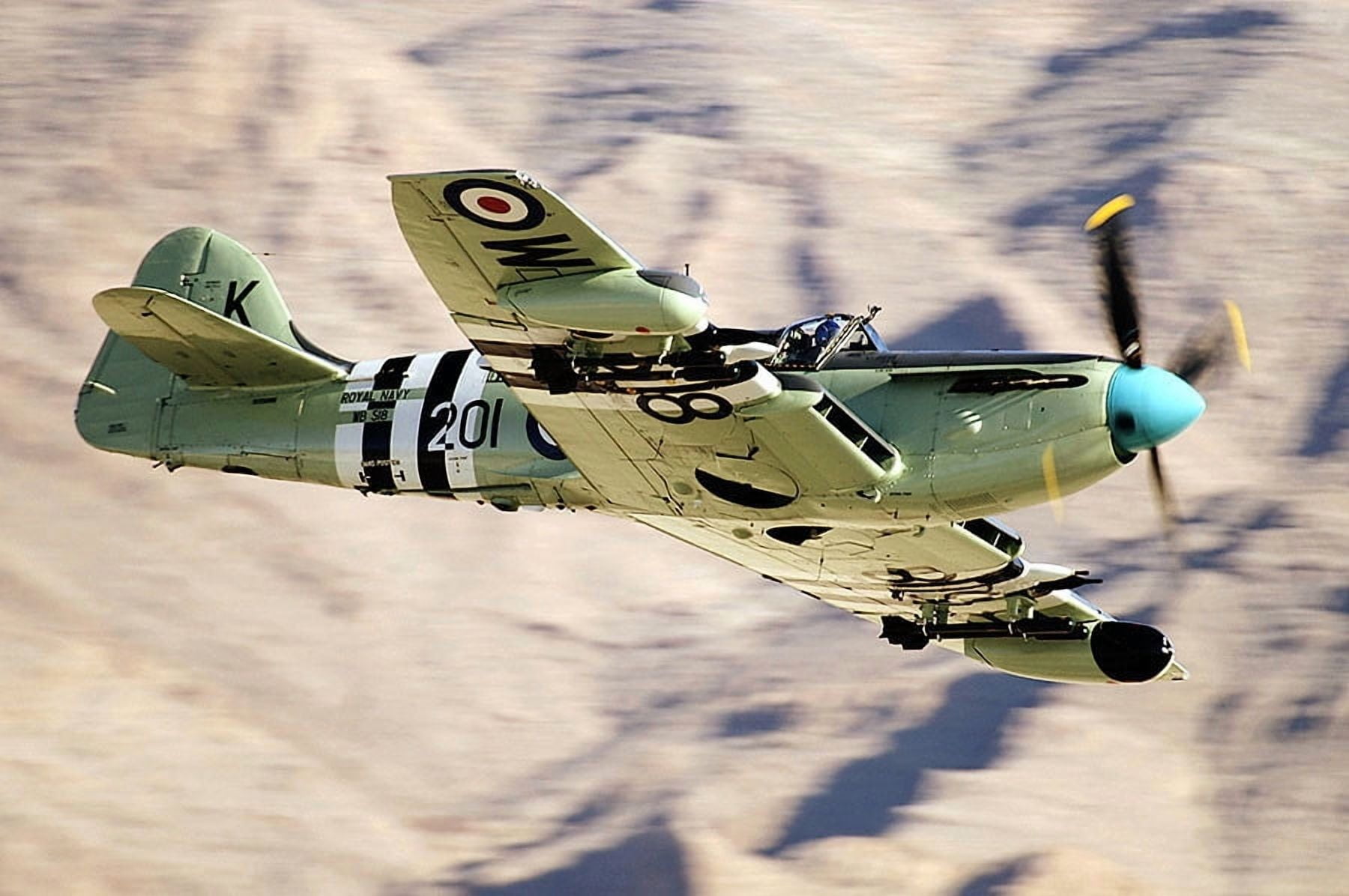 British WWII Fairey Firefly Aircraft - 24x36 Inch Glossy Laminated ...