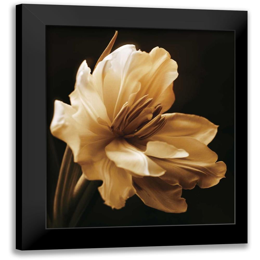 Britt, Charles 15x17 Black Modern Framed Museum Art Print Titled - Timeless Grace I - Walmart.com
