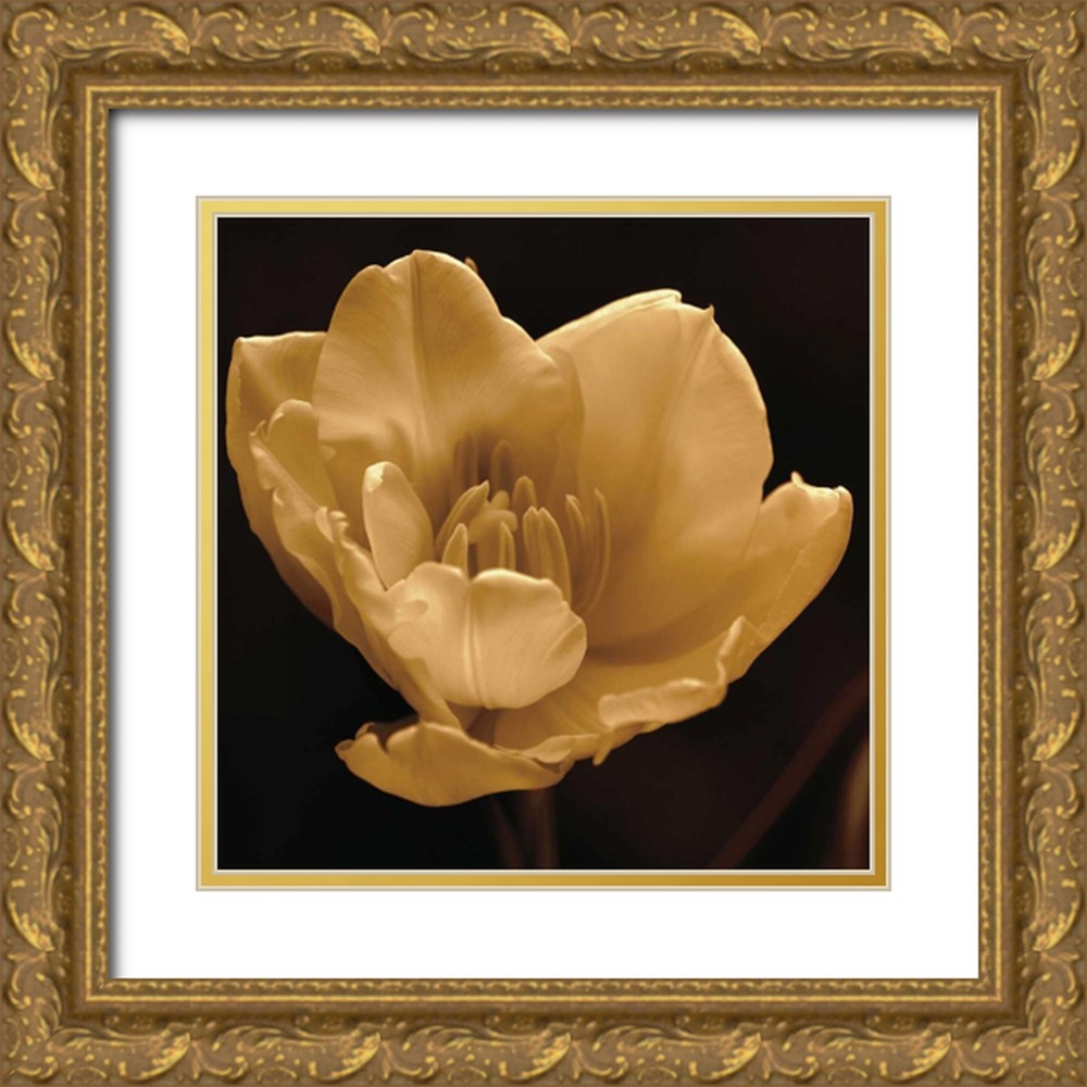 Britt, Charles 26x26 Gold Ornate Wood Framed with Double Matting Museum Art Print Titled ...