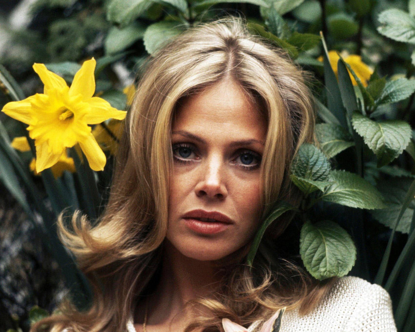 Britt Ekland Rare Blonde Bombshell 1970's 24X36 Classic Hollywood ...