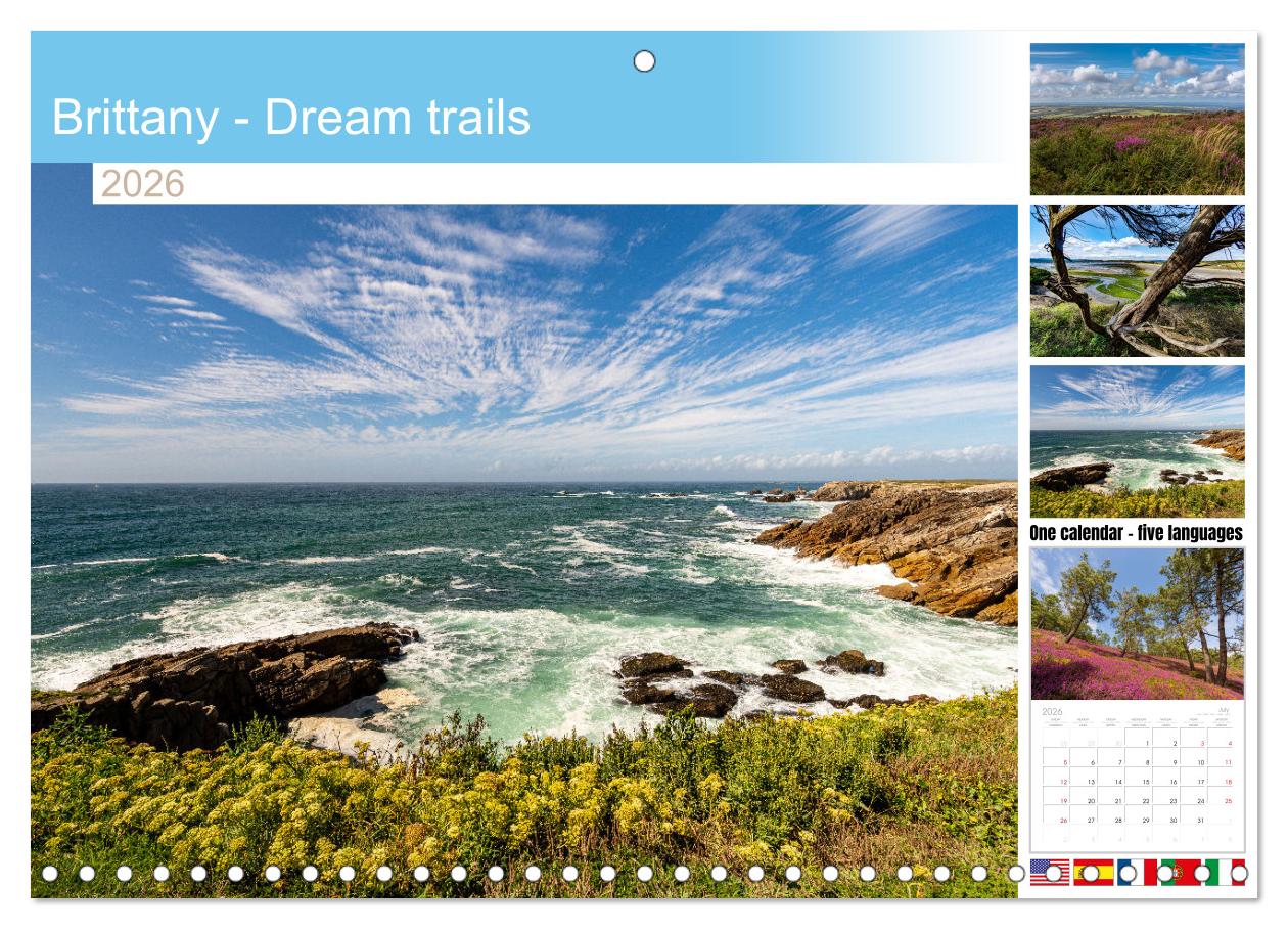 Brittany - Dream trails (Monthly Wall Calendar 2026 11.7 x 16.5 (open ...