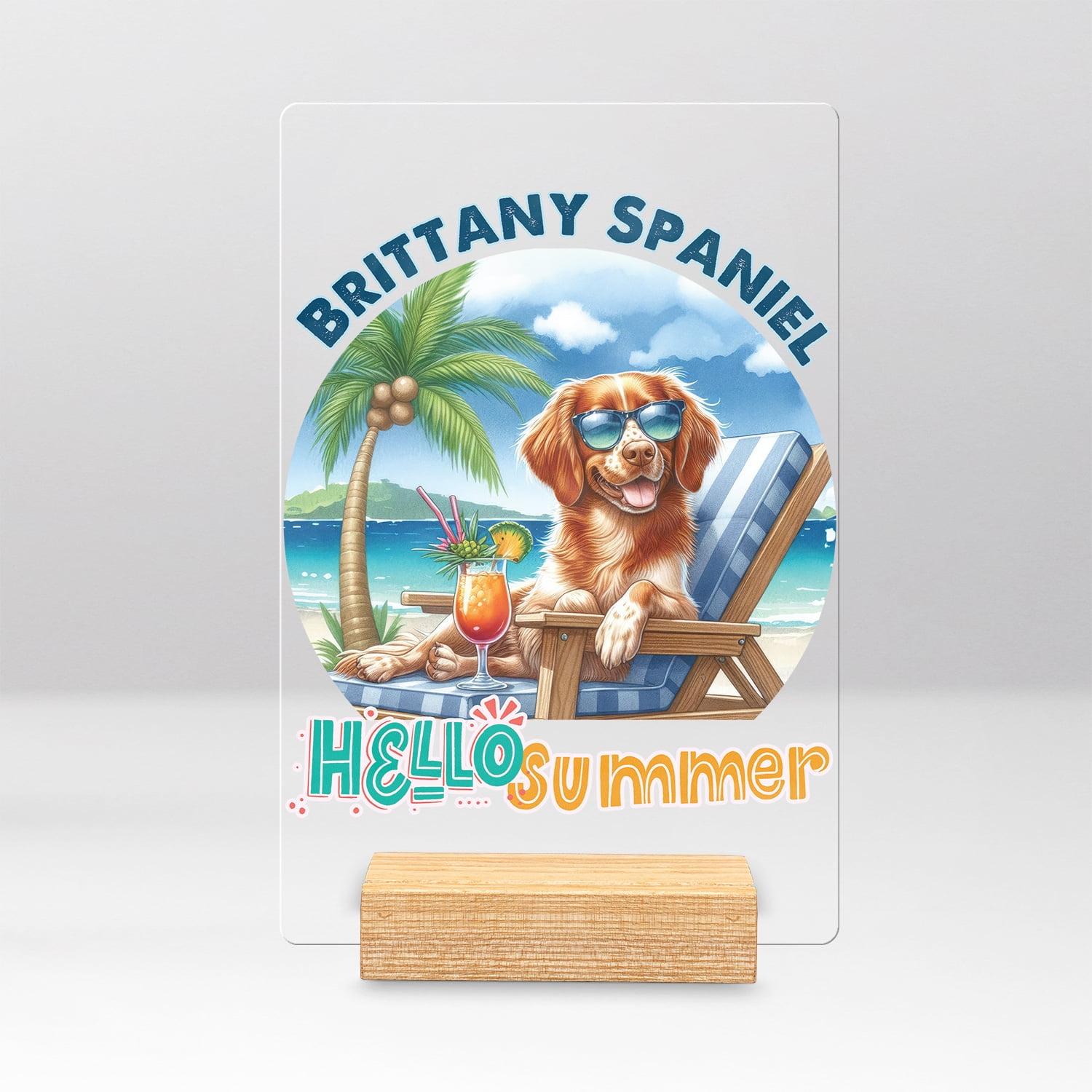 Brittany Spaniel Hello Summer Beach Theme with Sunglasses and Tropical Cocktail Acrylic Plaque ...