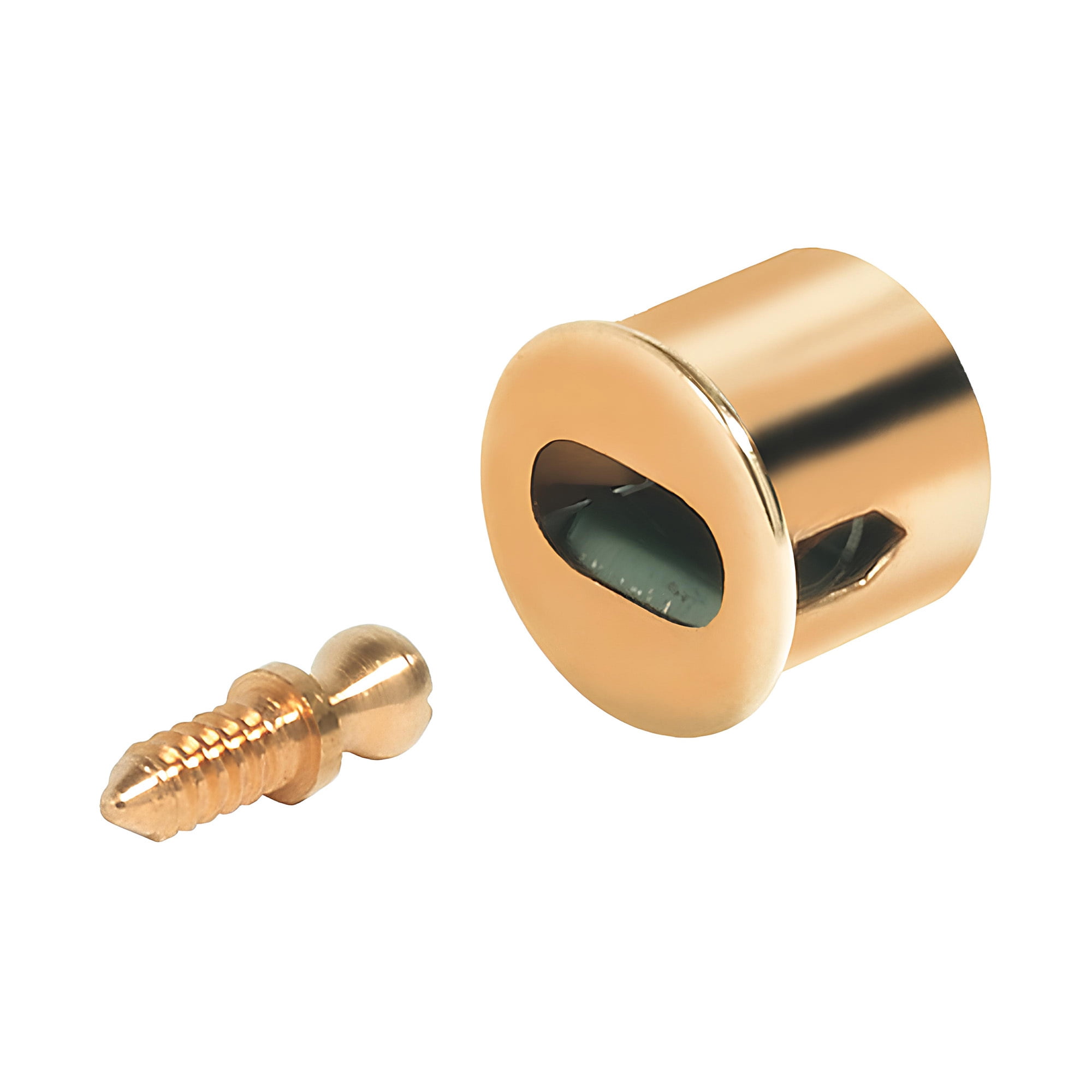 Brixwell QG72-001 Retaining Spring, with Ball-Head Mounted Screw ...