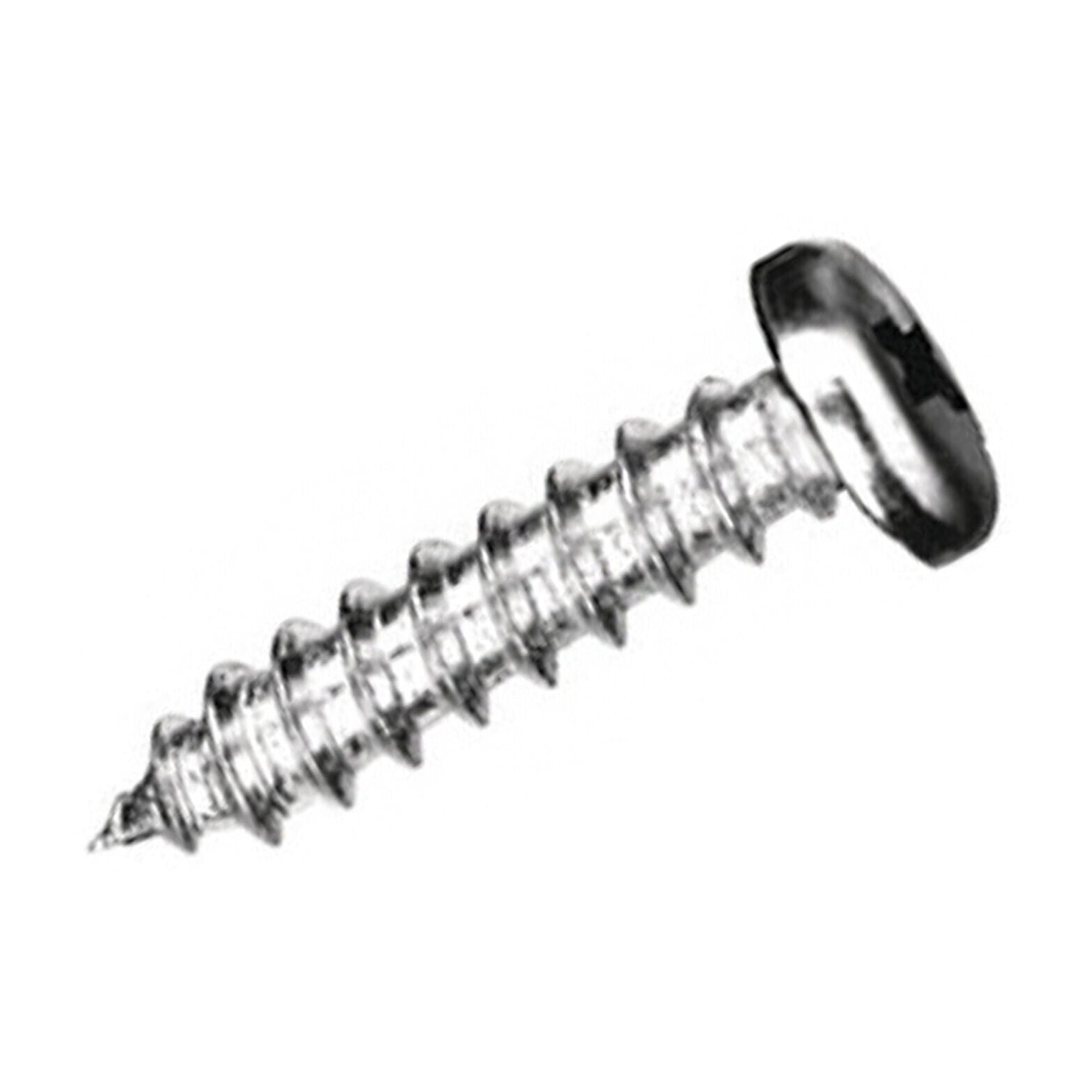 Brixwell SRW2874248025 Stainless Steel Screw with Phillips Drive Pack ...
