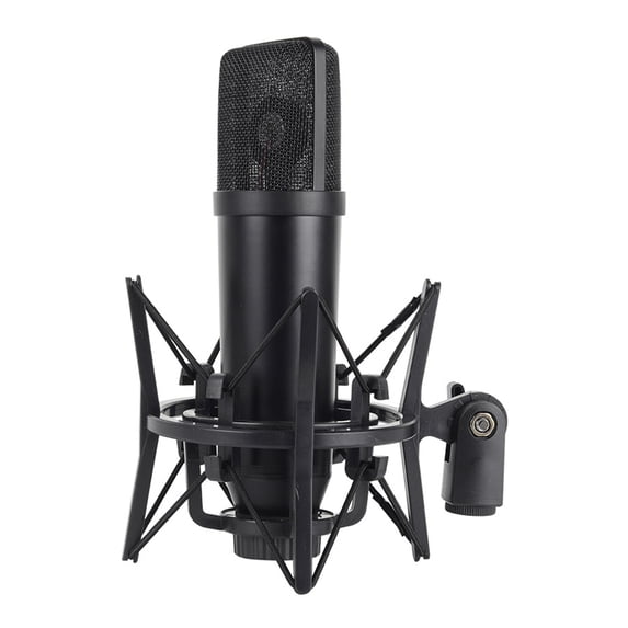 Broadcast-Grade Condenser Microphone With Noise Cancellation & Metal ...