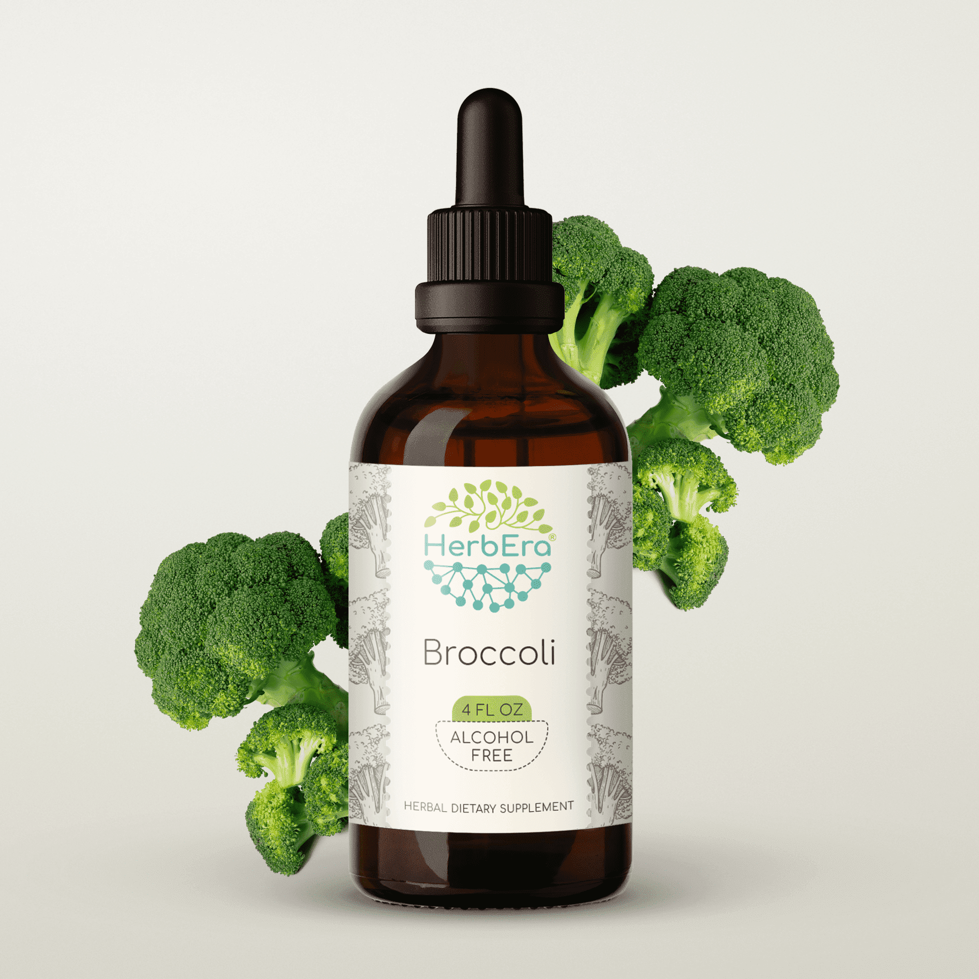 HerbEra Broccoli Tincture, Herbal Dietary Supplement for Cellular ...