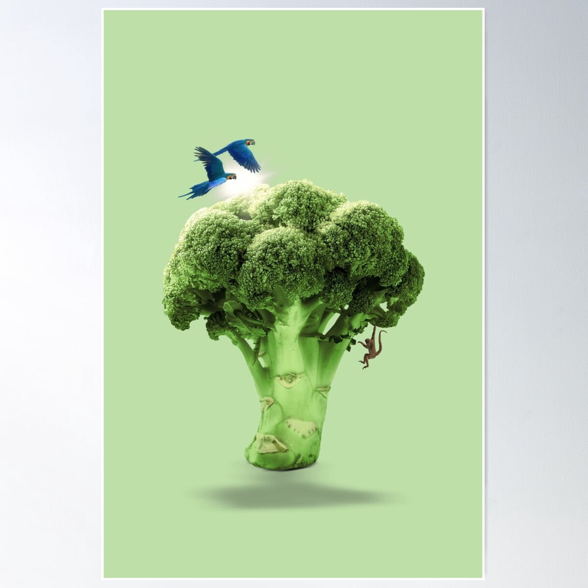 Broccoli Forest Poster Wall Art, Modern Wall Decor For Living Room ...