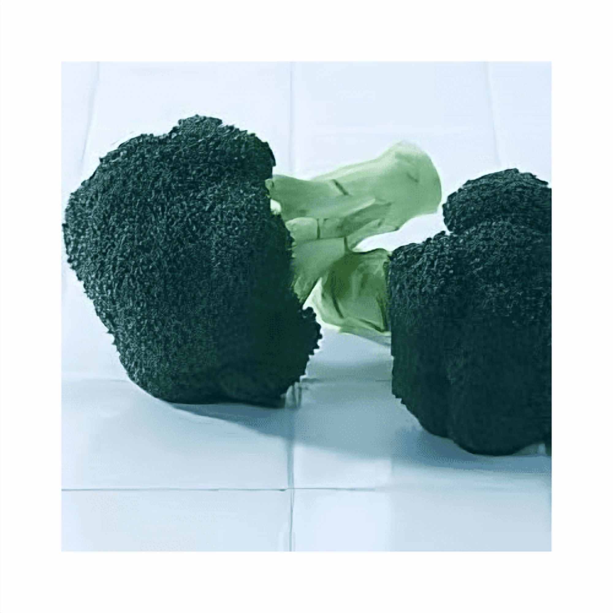 Broccoli Green Magic Hybrid Great Vegetable by Seed Kingdom (15 Seeds ...
