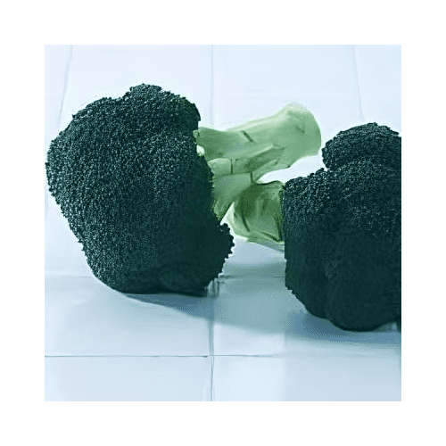 Broccoli Green Magic Hybrid Great Vegetable by Seed Kingdom (15 Seeds ...