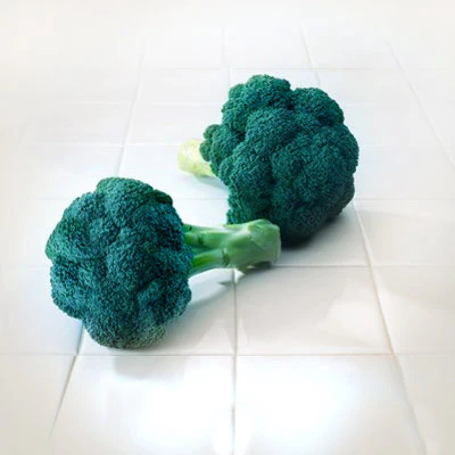 Broccoli Seeds - Diplomat Variety Broccoli Seeds - Non-GMO - 50 Seeds ...