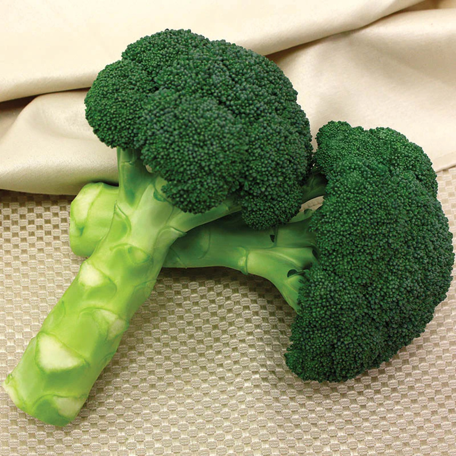 Broccoli Seeds - Green Magic Untreated Non-GMO Variety Broccoli Seeds ...