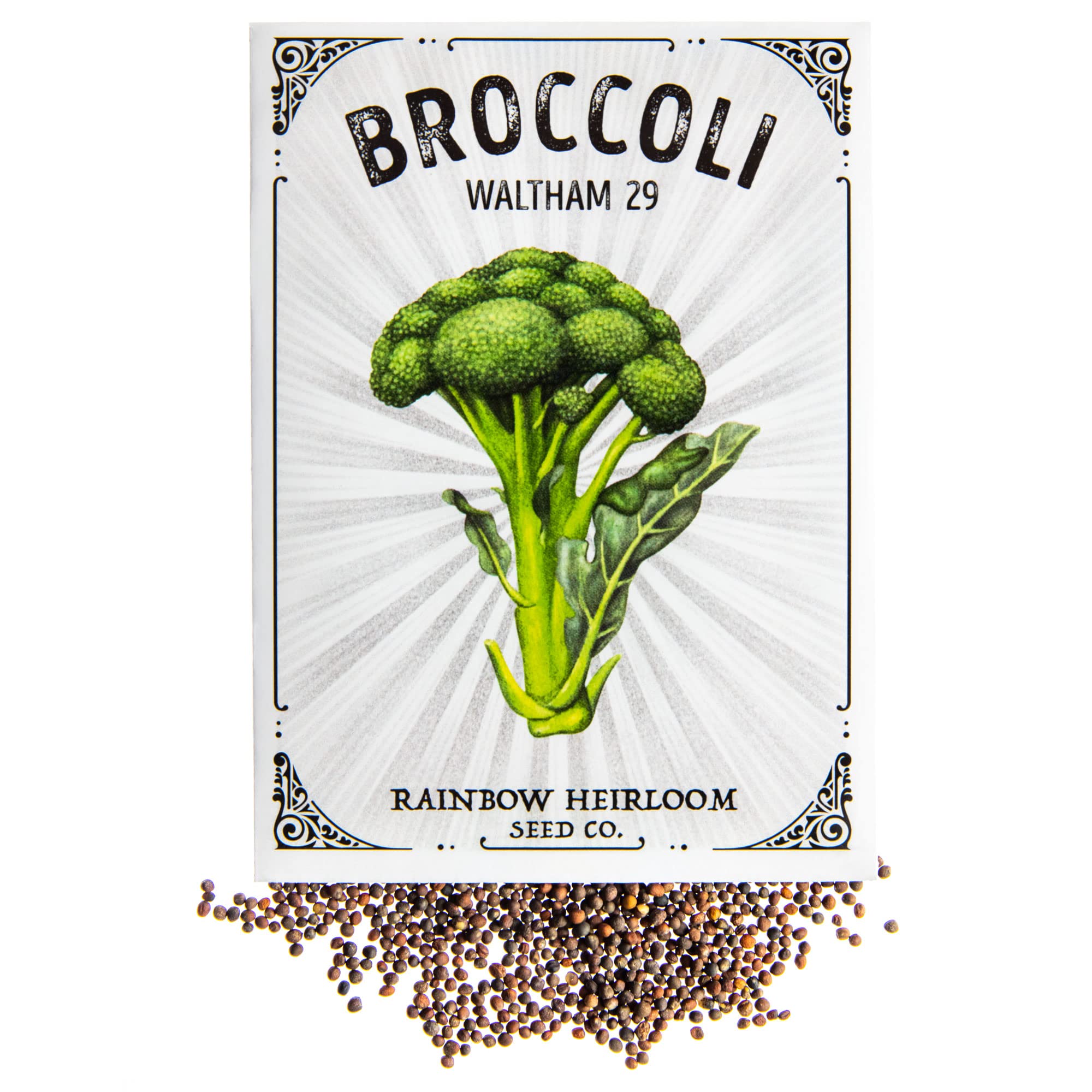 Broccoli Seeds for Planting | Waltham 29 Variety (2g Packet - Approx ...